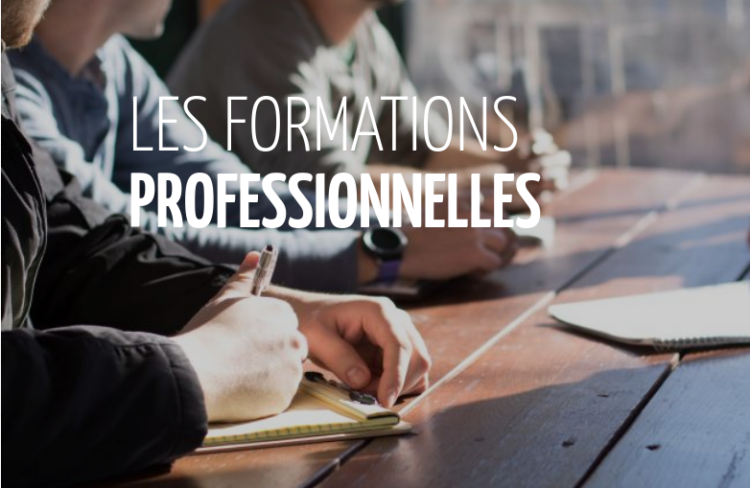 CEMEA REUNION – L'élan formation